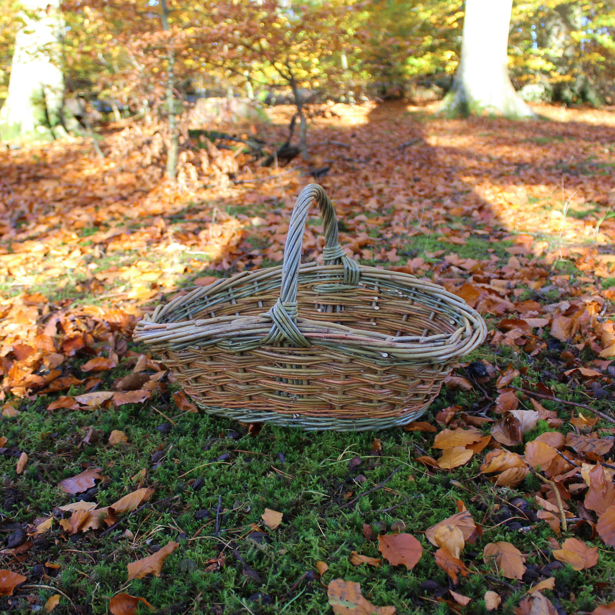 Vegetable Picker – John Cowan Baskets