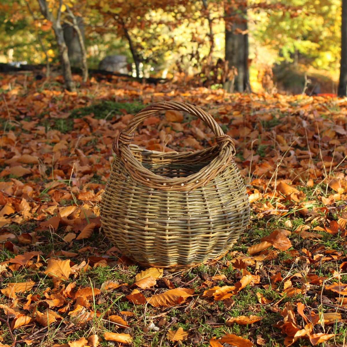 Forager's Basket – John Cowan Baskets